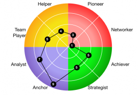 Octogram - The best test for work and leadership styles